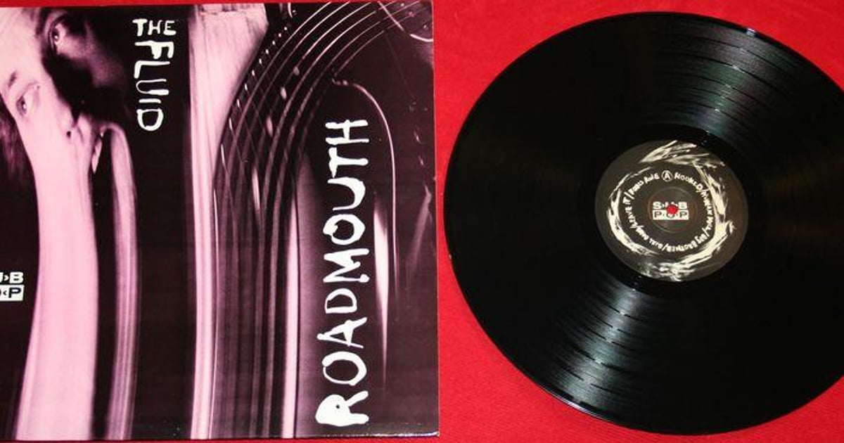 The Fluid - Roadmouth | Dead Format
